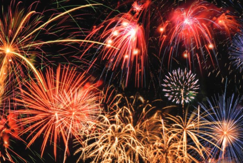 Fireworks Frenzy: Keep your pets safe on the 4th of July - MetroPet ...