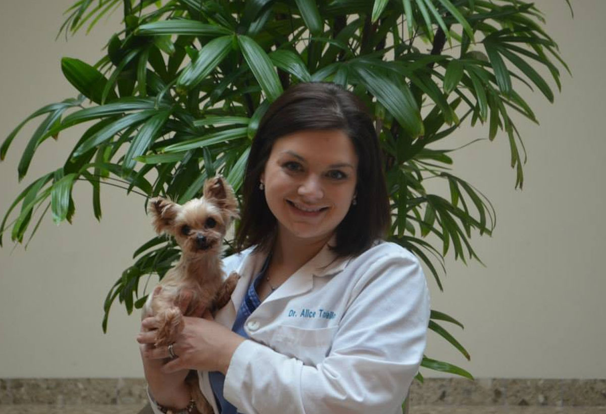 Veterinarian in Berea | Vets Near Me | MetroPet Veterinary Clinic